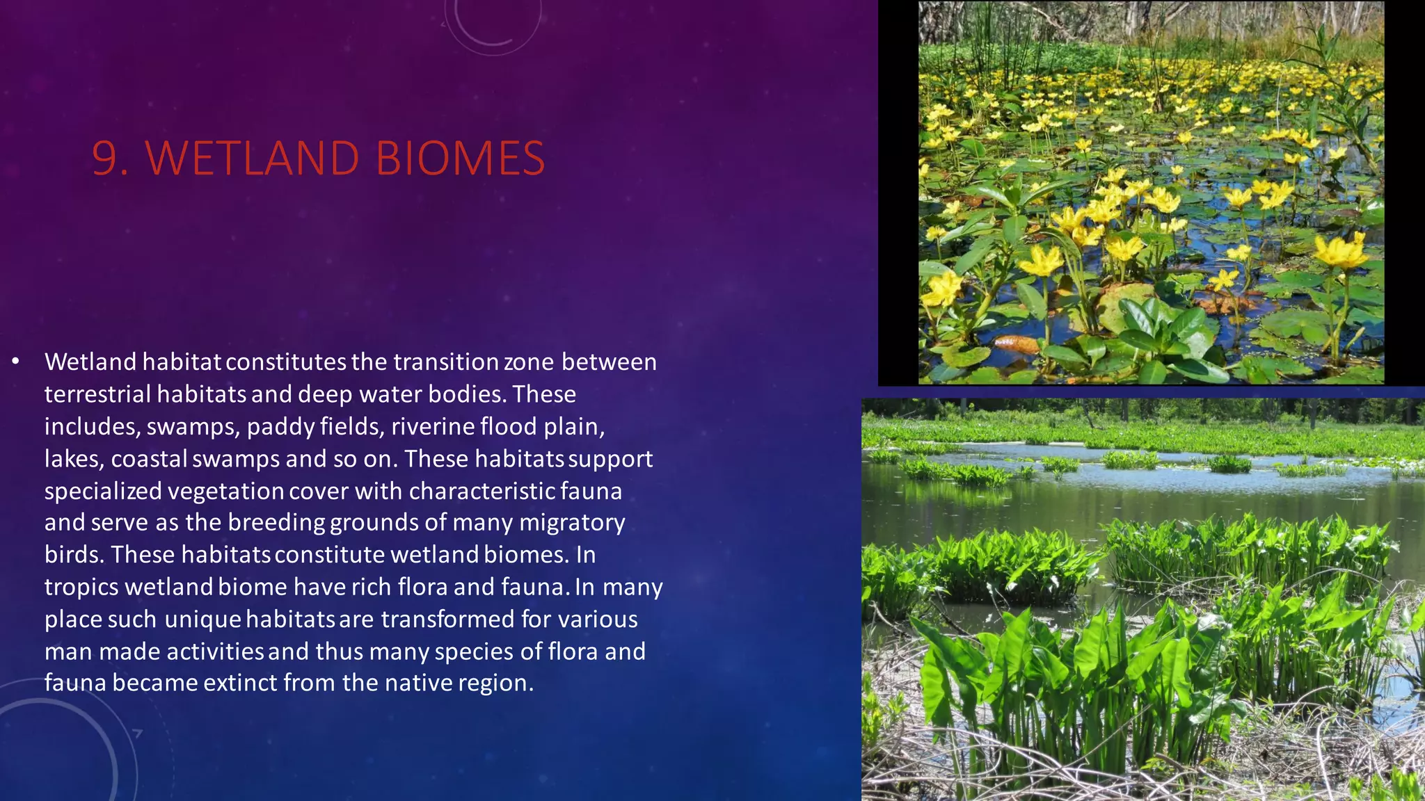 Major plant biome in India . | PDF