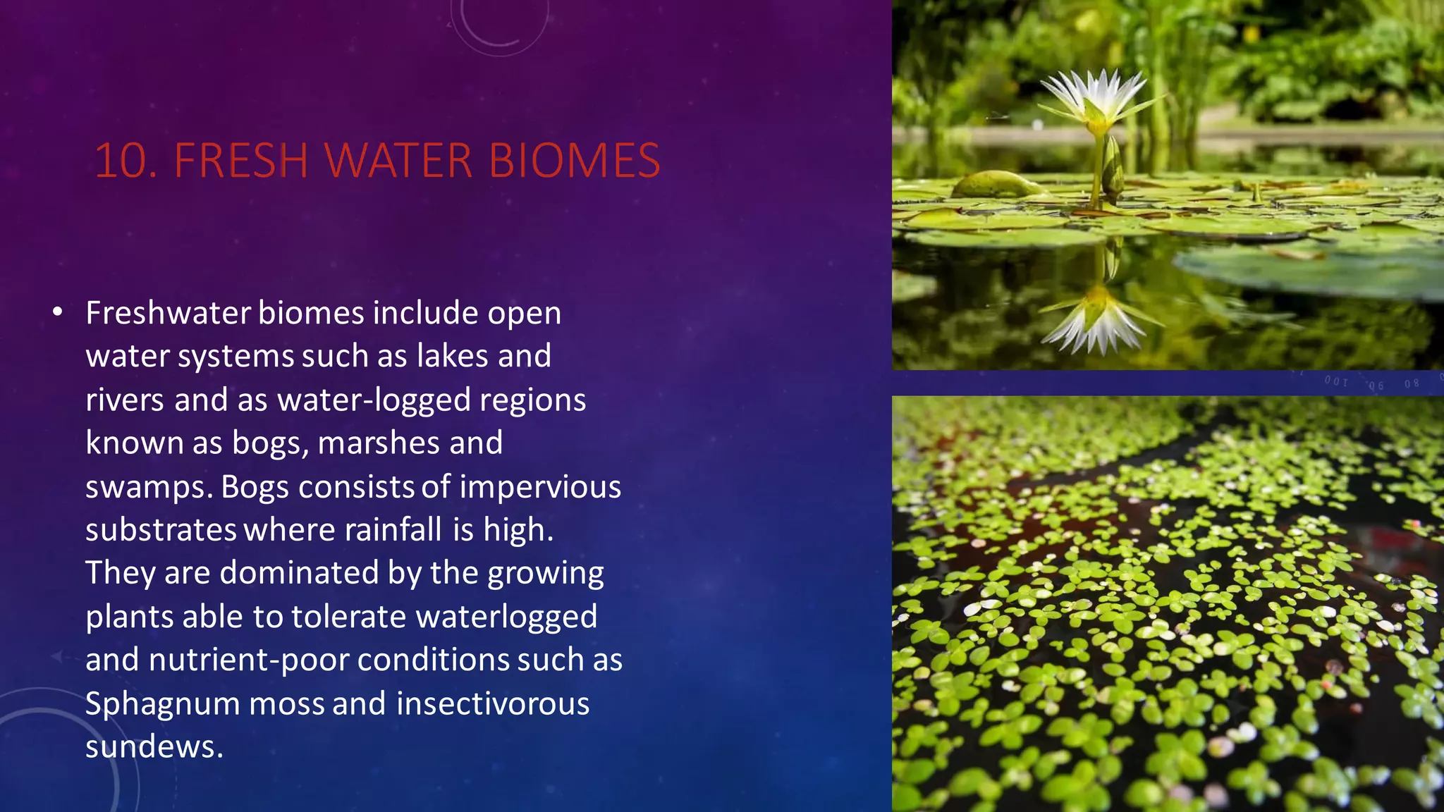 Major plant biome in India . | PDF