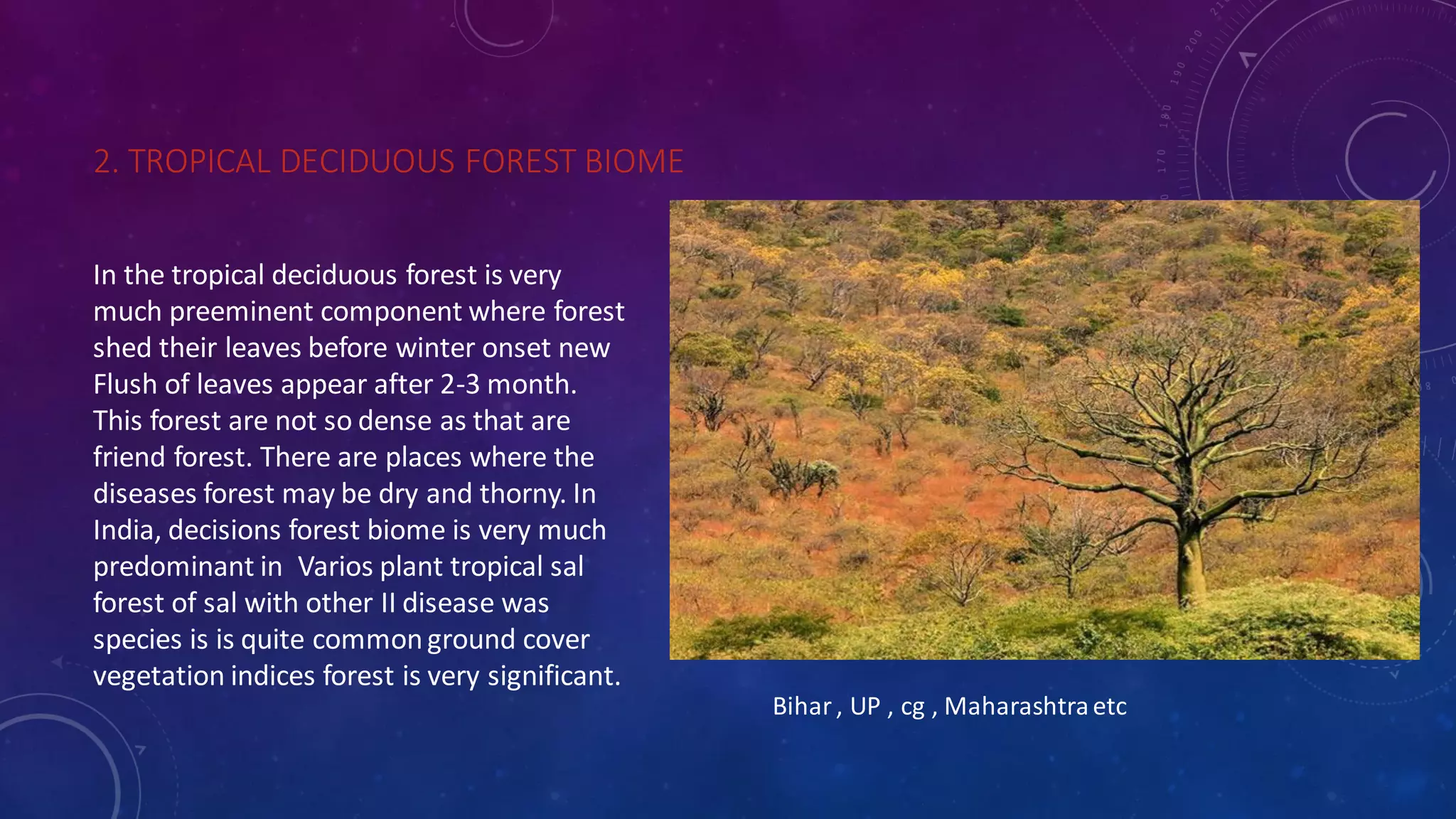 Major plant biome in India . | PDF