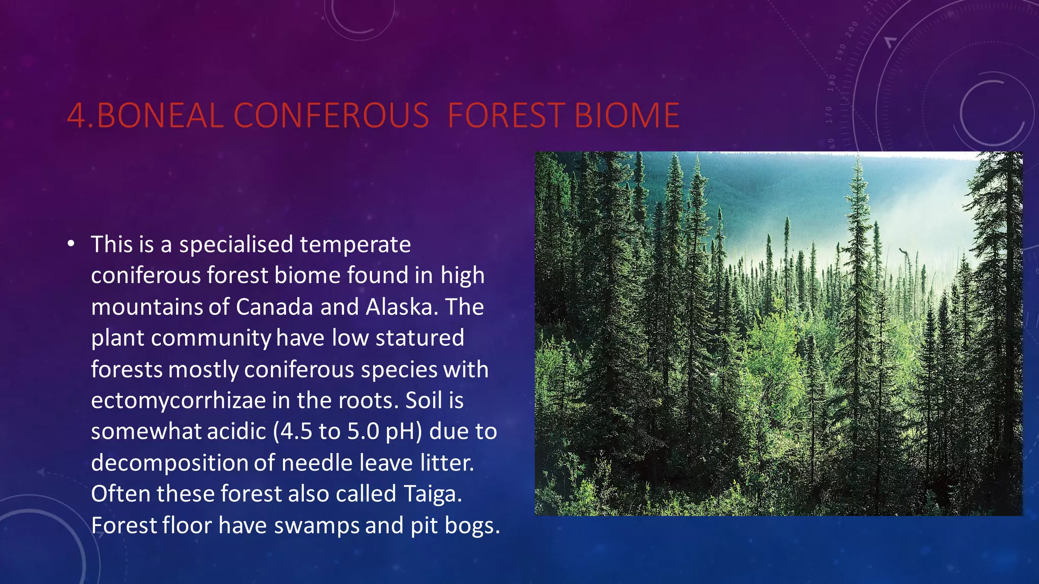 Major plant biome in India . | PDF