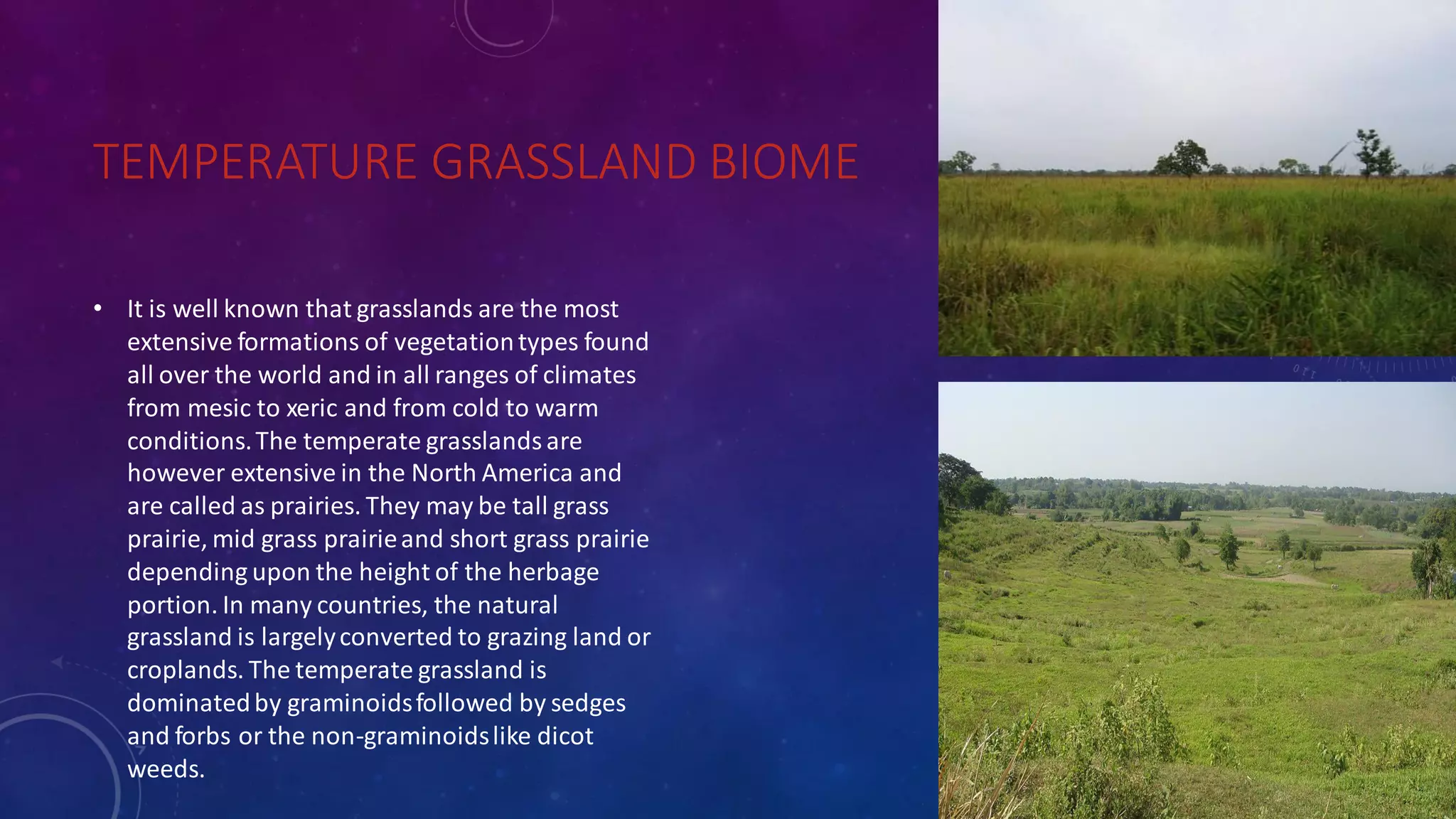 Major plant biome in India . | PDF