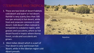 Major plant biome in India . | PDF