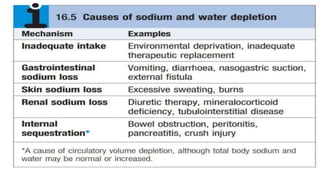 Presentation (4).pptx