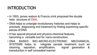 Presentation (4).pptx