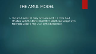 Presentation (4).pptx