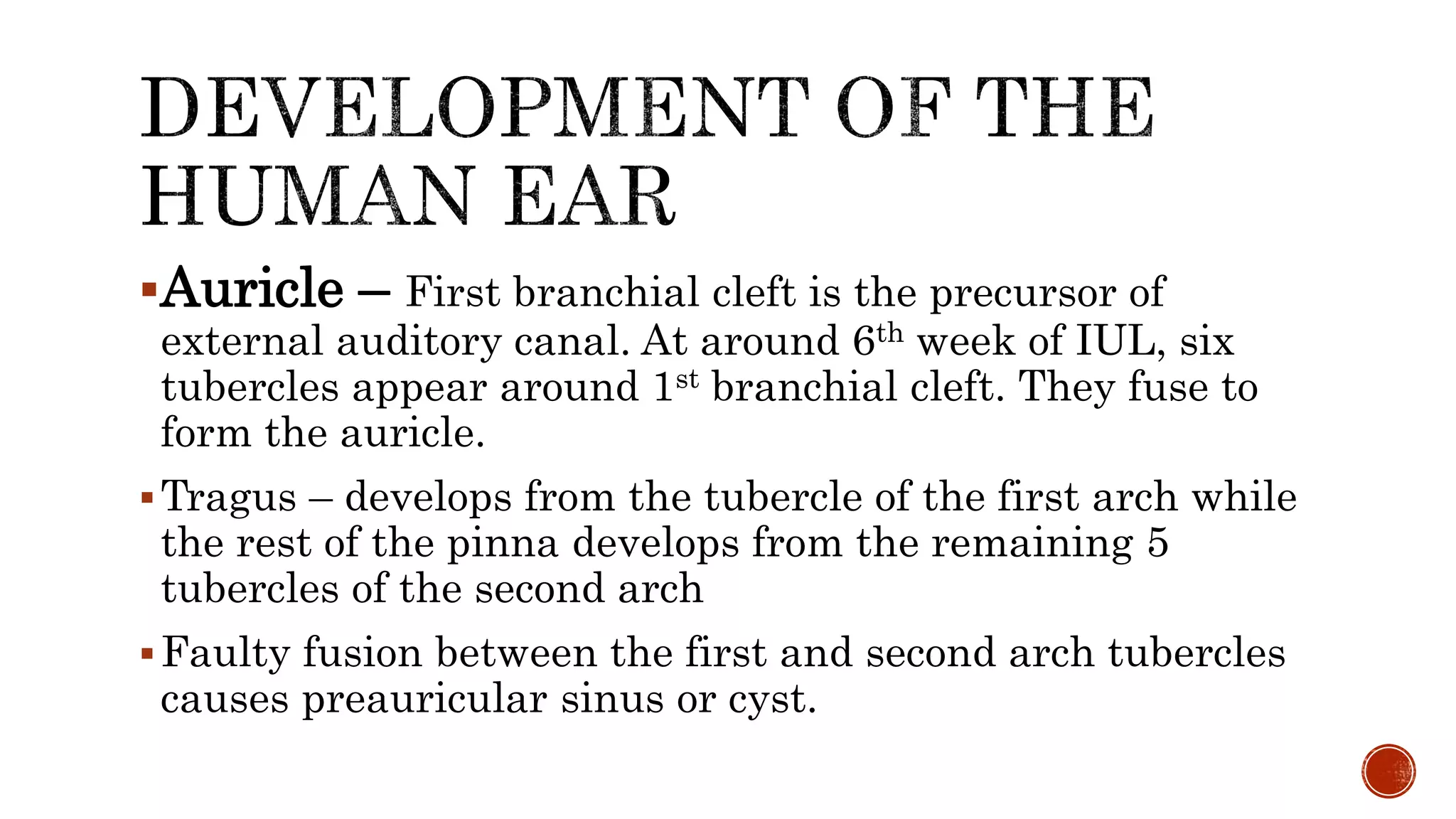 Embryology and anatomy of external ear | PPTX