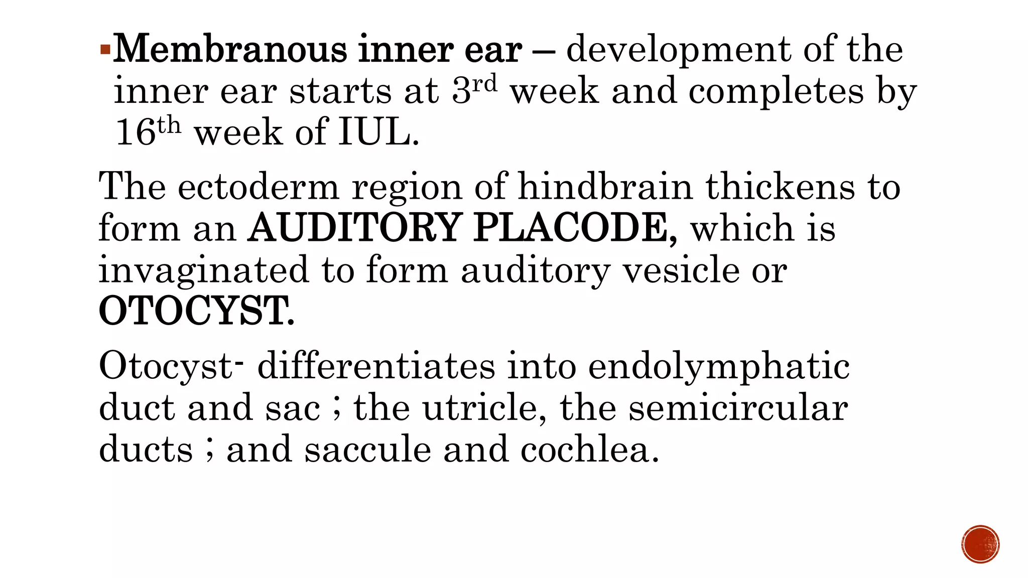 Embryology and anatomy of external ear | PPTX