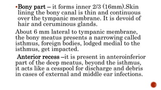 Embryology and anatomy of external ear | PPTX
