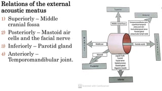 Embryology and anatomy of external ear | PPTX
