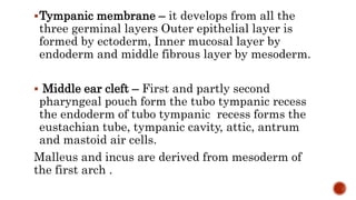 Embryology and anatomy of external ear | PPTX
