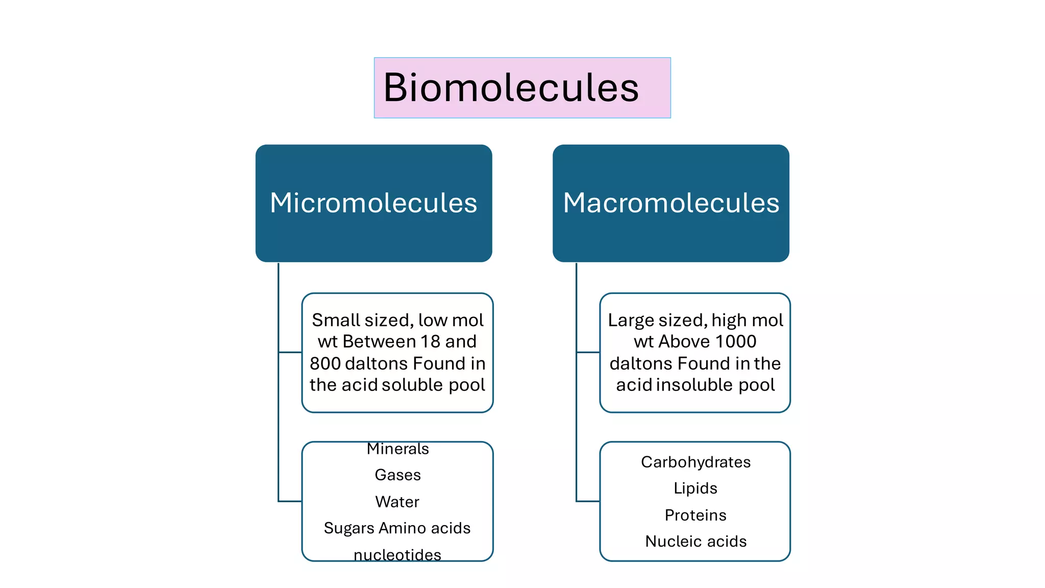 Macromolecules and their subunits and its chemical bonding | PDF