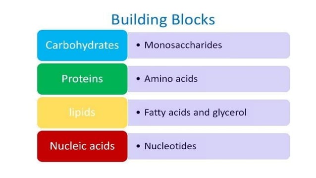 Macromolecules and their subunits and its chemical bonding | PDF ...