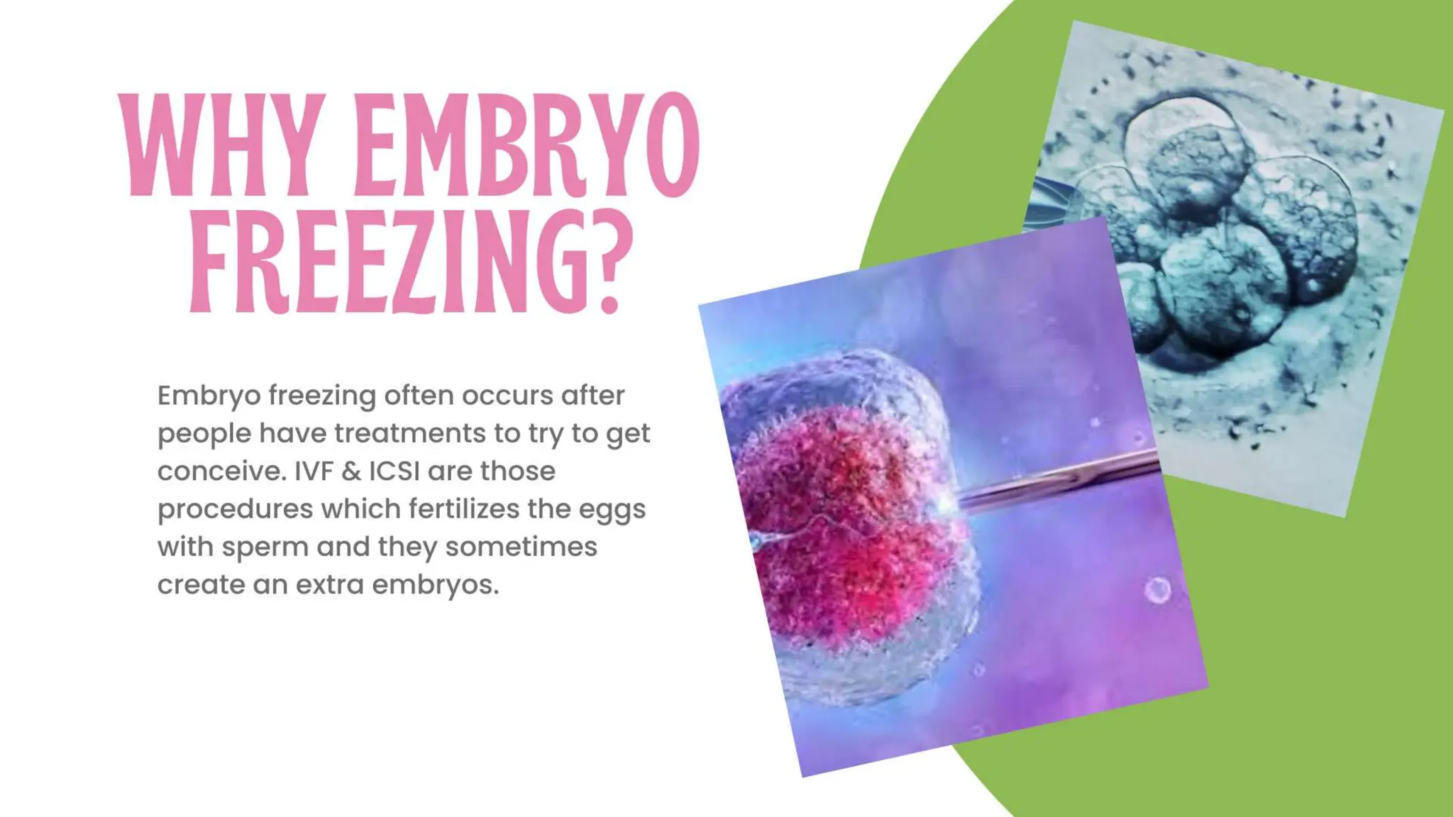 What is Embryo Freezing? | PPTX