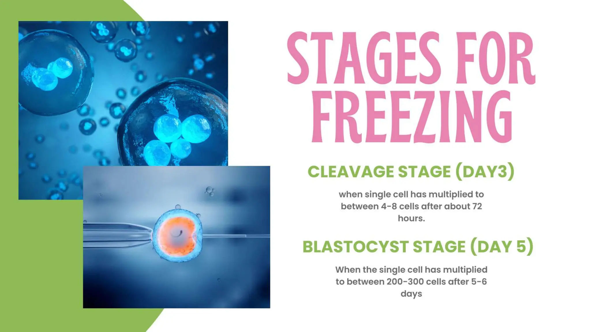 What is Embryo Freezing? | PPTX