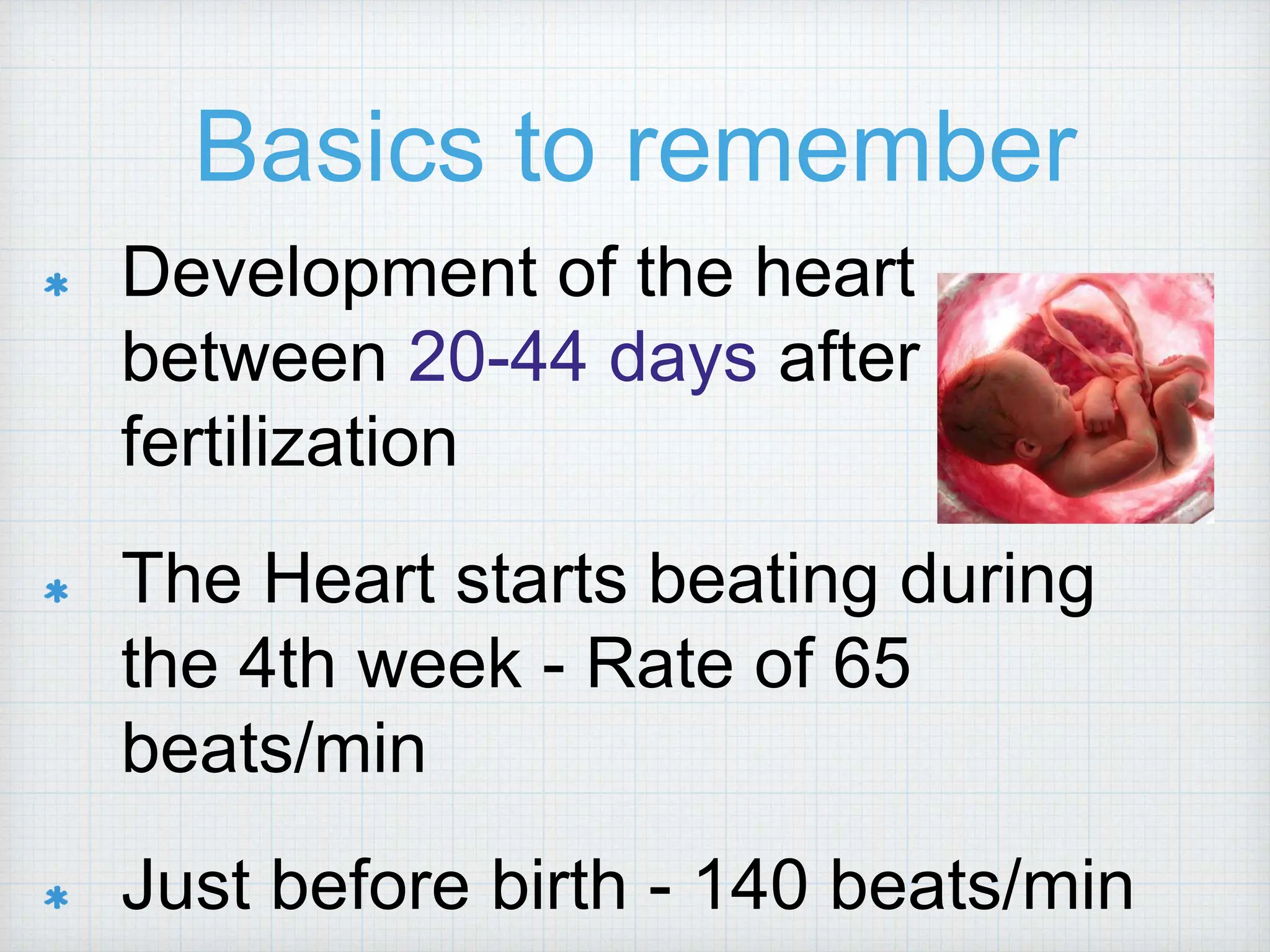 Fetal and Neonatal Circulation - MBBS, Gandhi medical College Hyderabad ...
