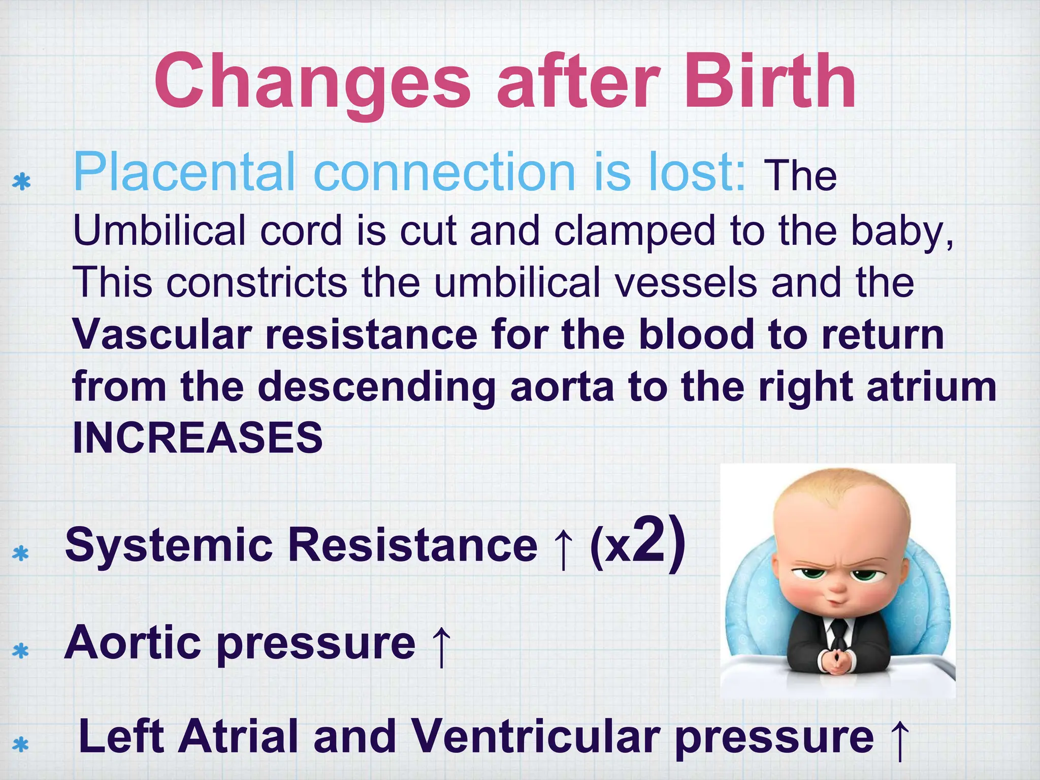 Fetal and Neonatal Circulation - MBBS, Gandhi medical College Hyderabad ...