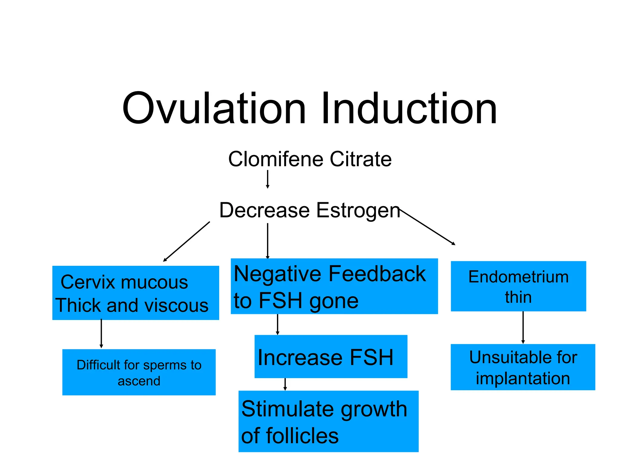 Ovarian causes of female infertility obgy | PPTX