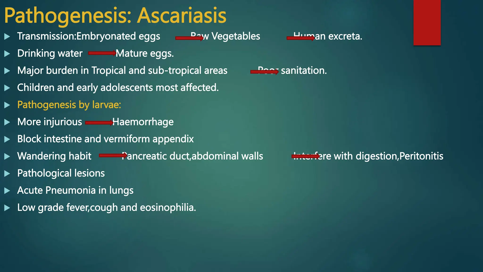 Presentation (4).pptx by abdul hai on Ascaris lumbricoids | PPTX