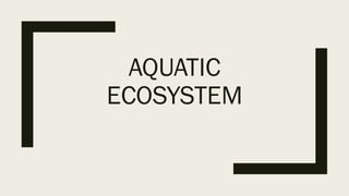 Presentation (4).pdf aquatic ecosystems ppt | PPT