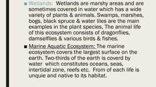 Presentation (4).pdf aquatic ecosystems ppt | PDF