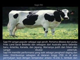 Presentation penggemukan trnak sapi potong | PPTX