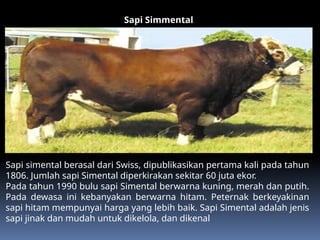 Presentation penggemukan trnak sapi potong | PPTX