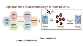 Nanotechnology In Food industry , Applications, Future prospects ...
