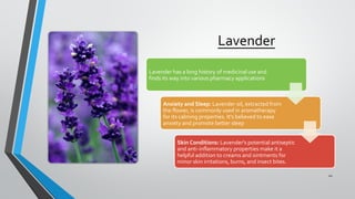 Development and evaluation of poly herbal oint | PDF