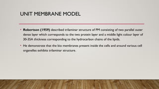 Presentation on cdell membrane (4).pptx | Biological Sciences | Science