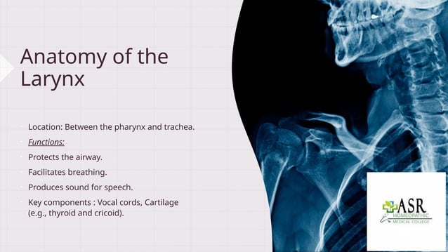 Anatomical prefixes laryngo and masto | PPT