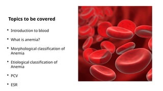 Presentation of physiology anemia 4.pptx