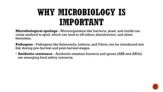 Presentation (4).pptx advanced in microbiology | PPT