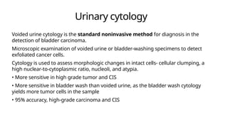Presentation ((4) urinary bladder .pptx
