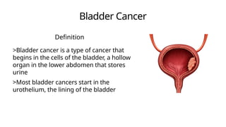 Presentation ((4) urinary bladder .pptx