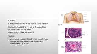 Lymphomas definition and classifications | PPTX
