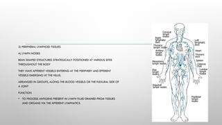 Lymphomas definition and classifications | PPTX