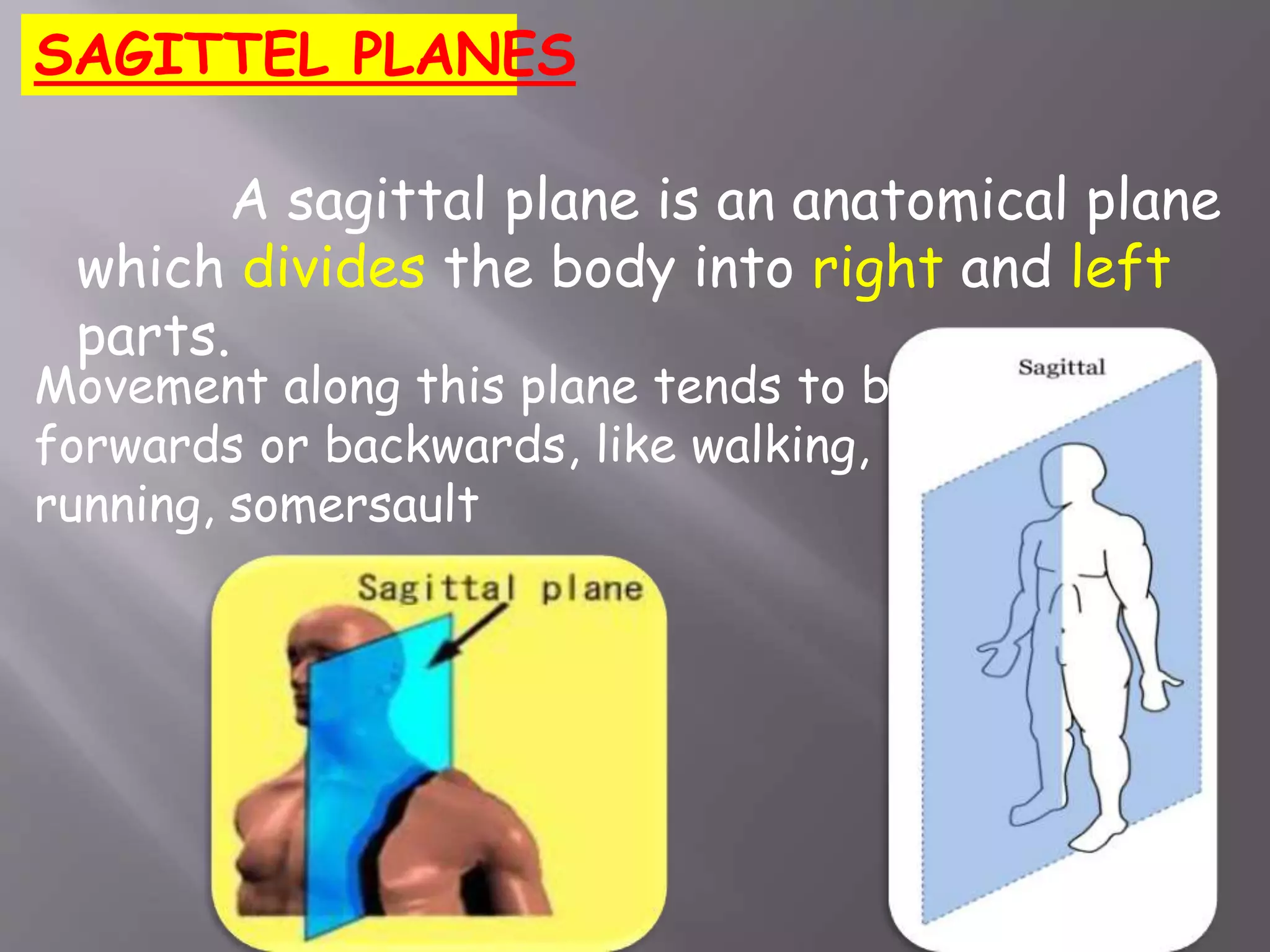 axis and planes | PPTX
