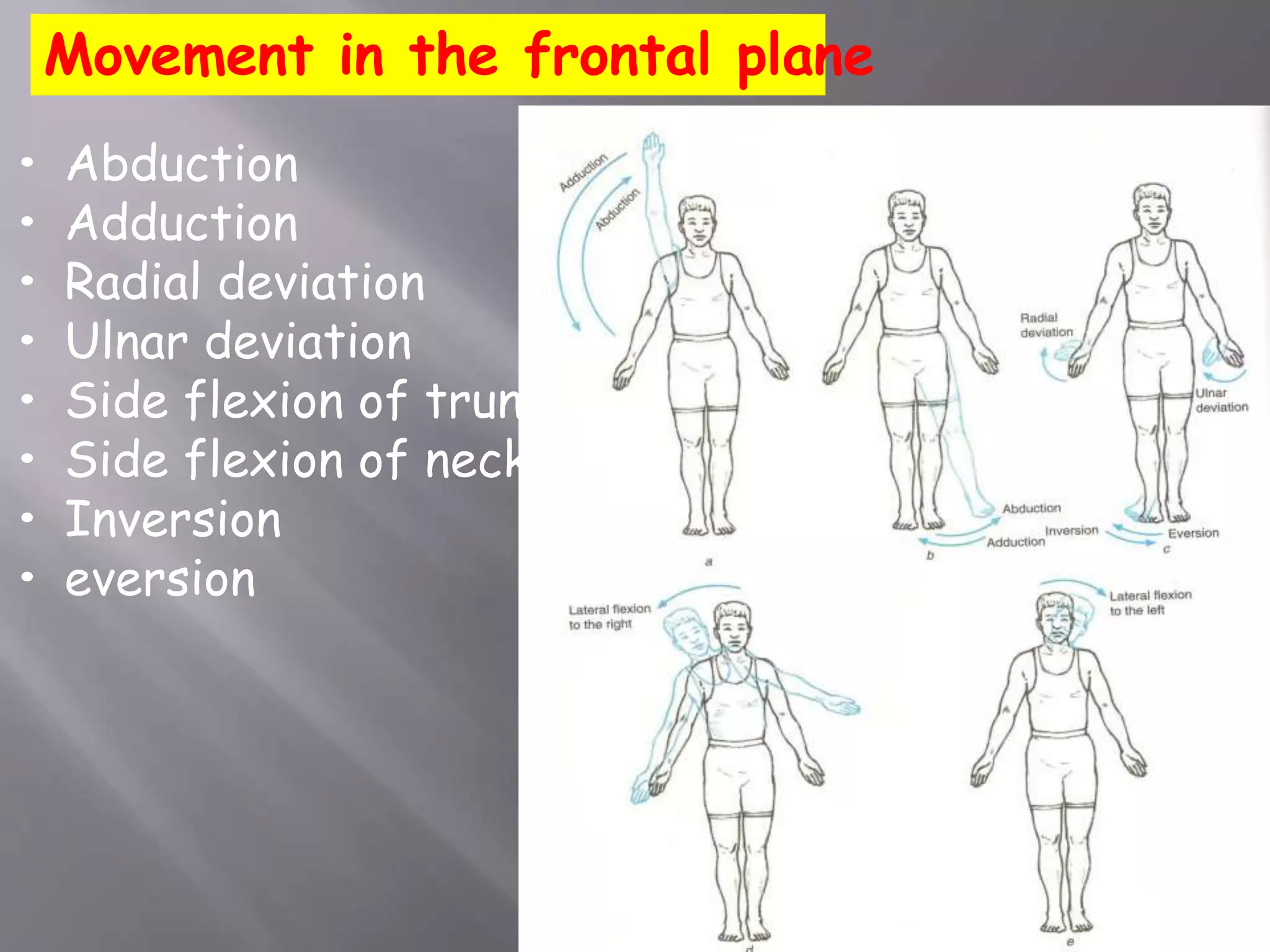 axis and planes | PPTX