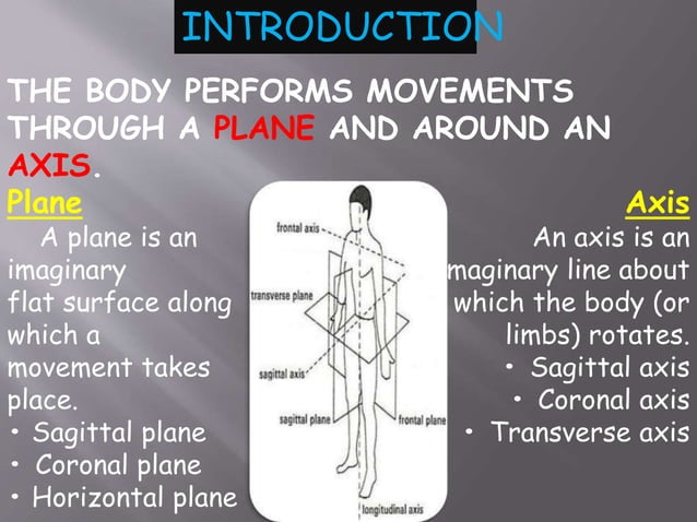 axis and planes | PPTX