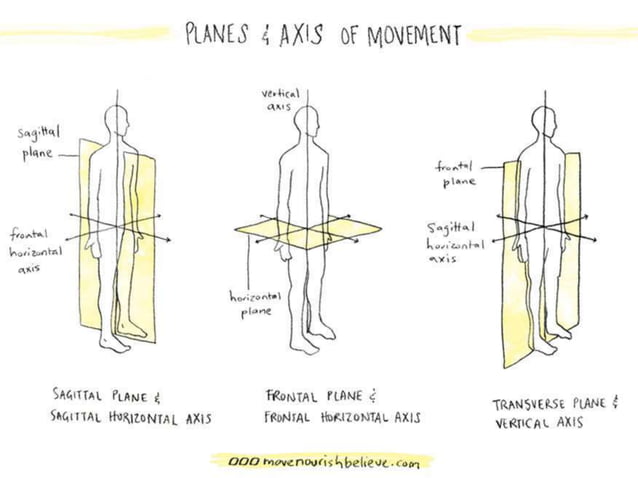 axis and planes | PPTX