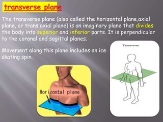 axis and planes | PPTX