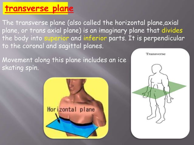 axis and planes | PPTX