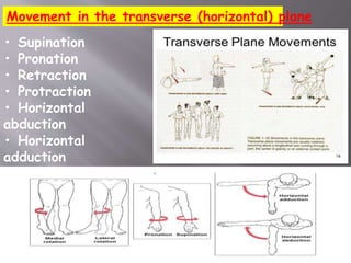 axis and planes | PPTX