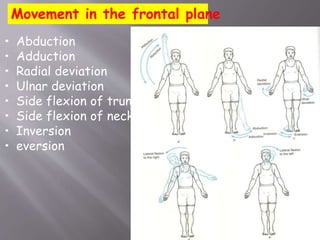 axis and planes | PPTX