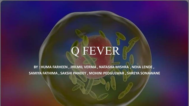 Q FEVER | PPT