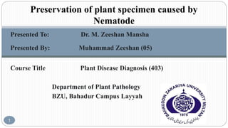 Preservation of plant specimen caused by Nematode | PPTX