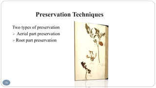 Preservation of plant specimen caused by Nematode | PPTX