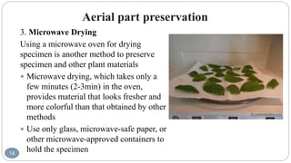 Preservation of plant specimen caused by Nematode | PPTX