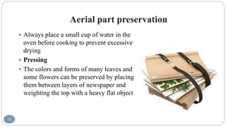 Preservation of plant specimen caused by Nematode | PPTX