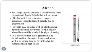 Preservation of plant specimen caused by Nematode | PPTX